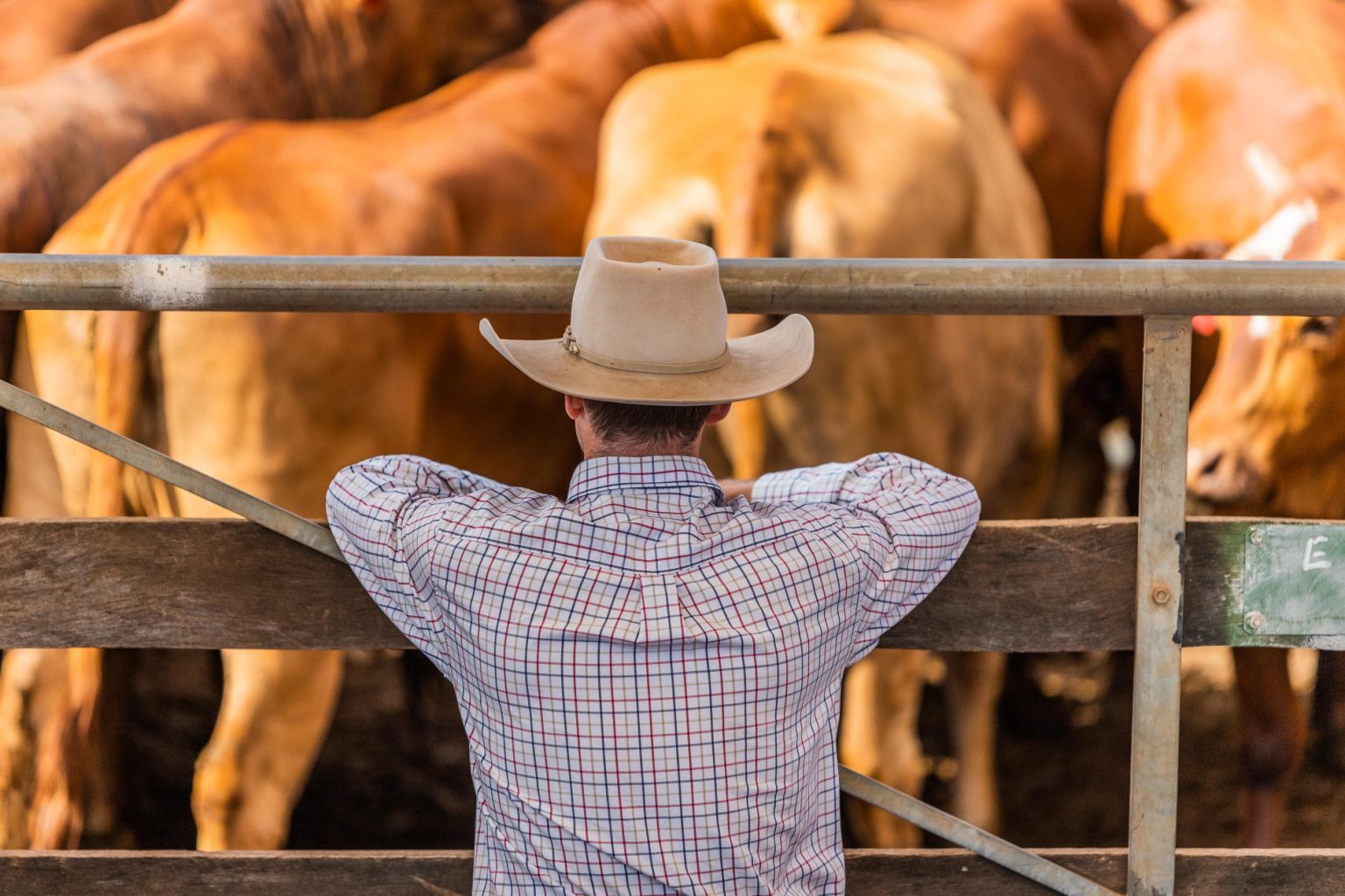 Find An Australian Agricultural Job Now | AG Workforce
