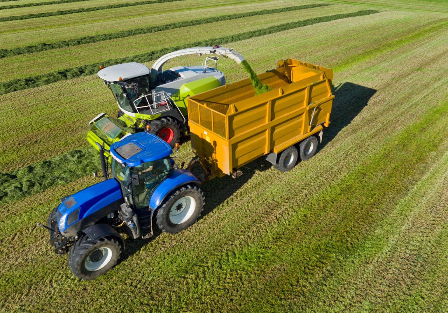Hay / Silage | AG Workforce
