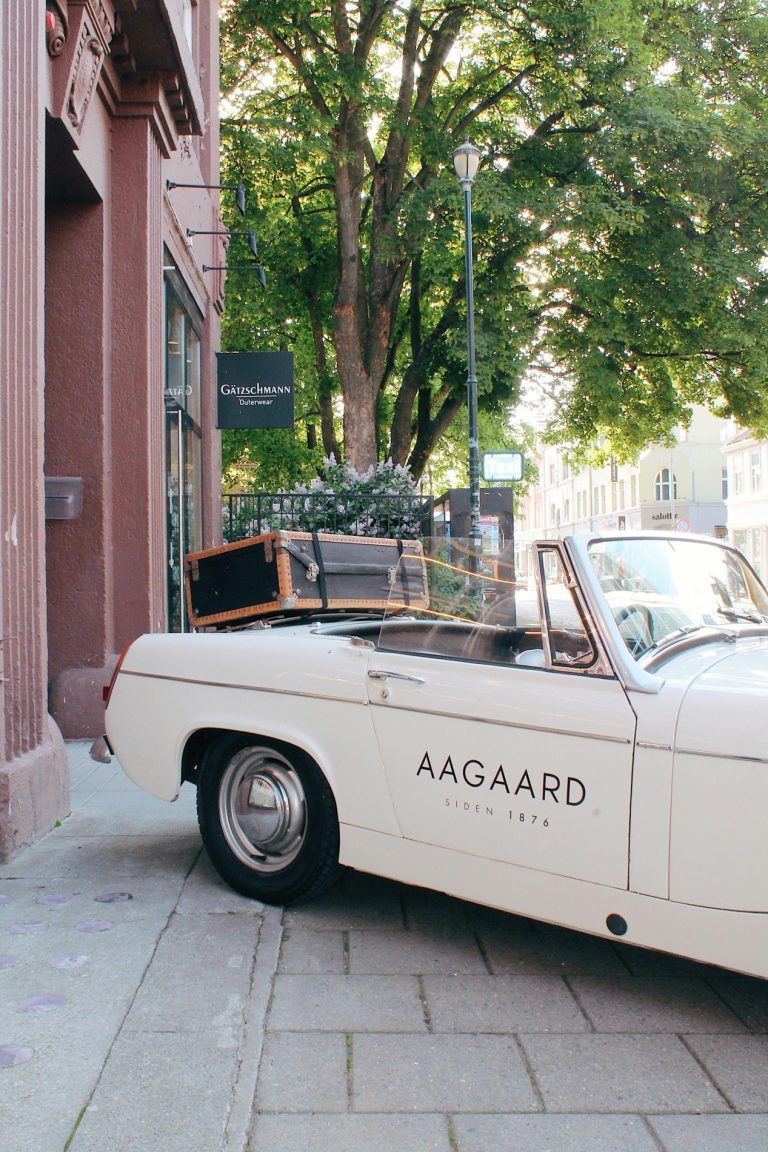 THE MONDAY GROUP: Executive Search + Talent Solutions