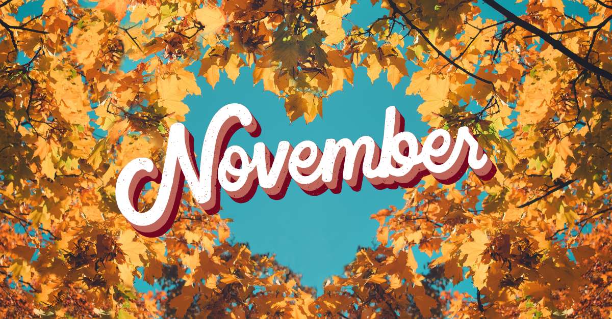 We've Got News - November Edition! - Pulse Recruitment